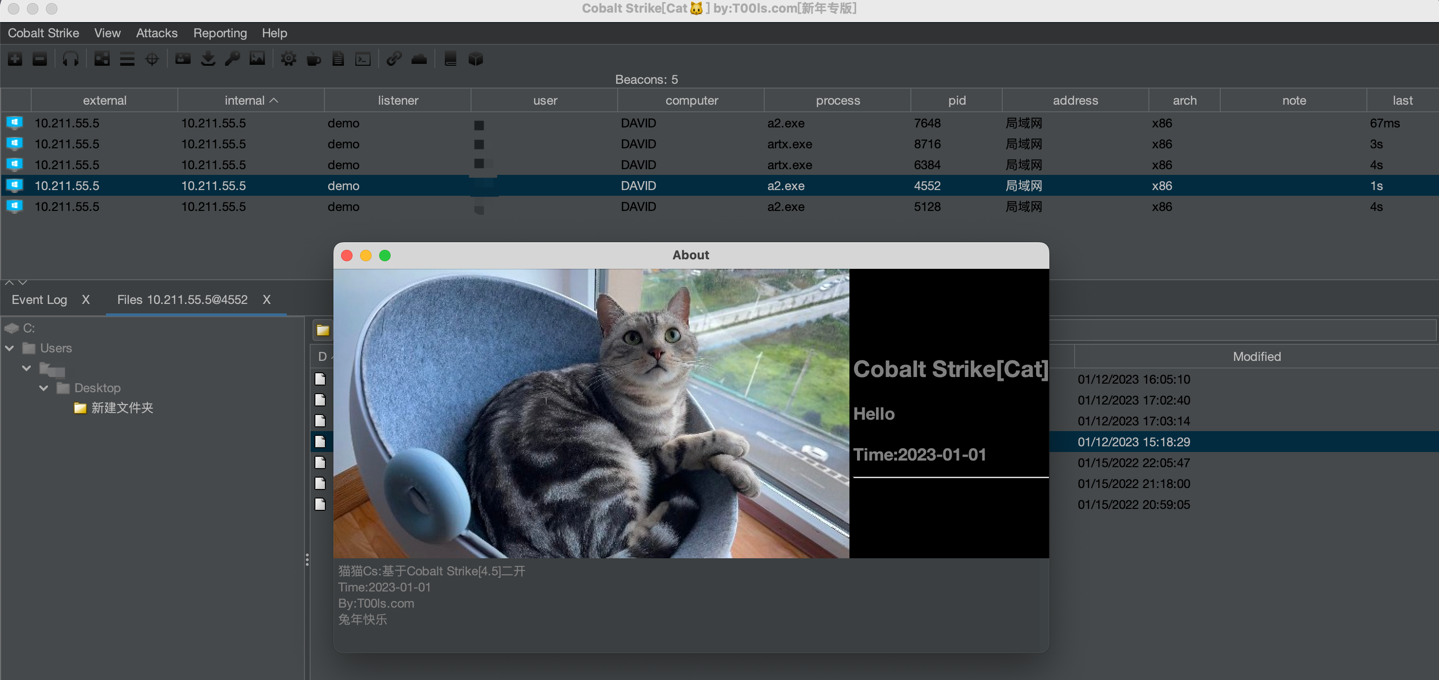 Chinese Threat Actor Used Modified Cobalt Strike Variant to Attack ...