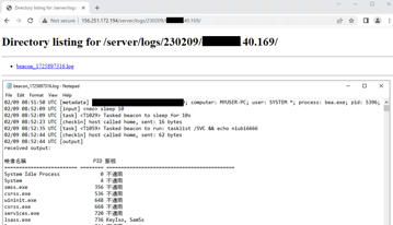 Chinese Threat Actor Used Modified Cobalt Strike Variant to Attack ...